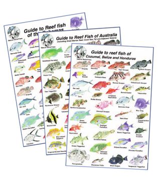 Maps & Fish ID Cards – House of Scuba