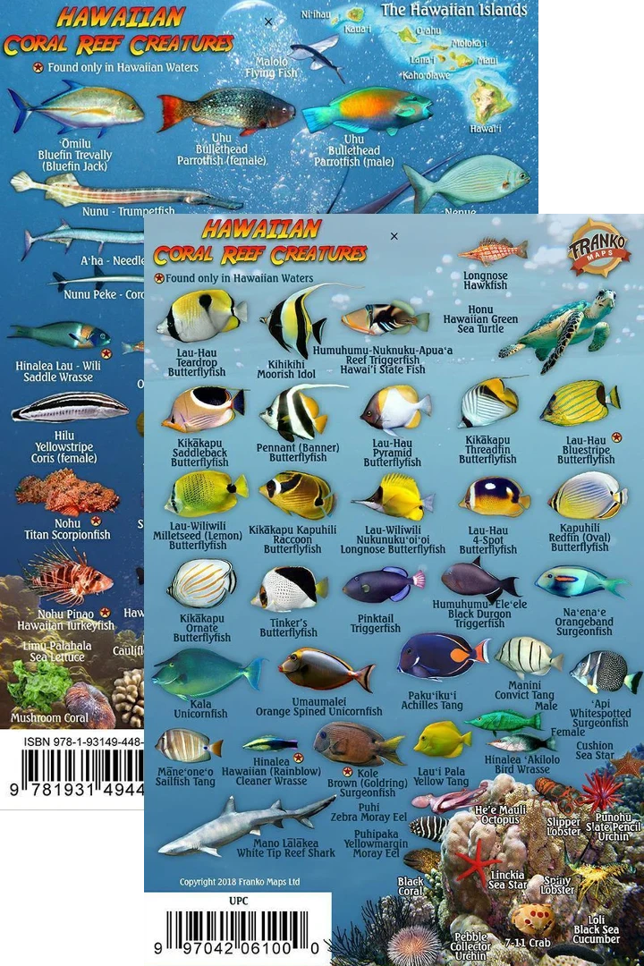 Franko's Laminated MINI Reef Creature Fish ID Cards – House of Scuba